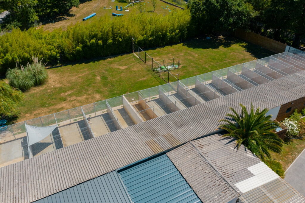 Portfolio | Animo Hotel La Baule, pension pour chiens, chats et NAC